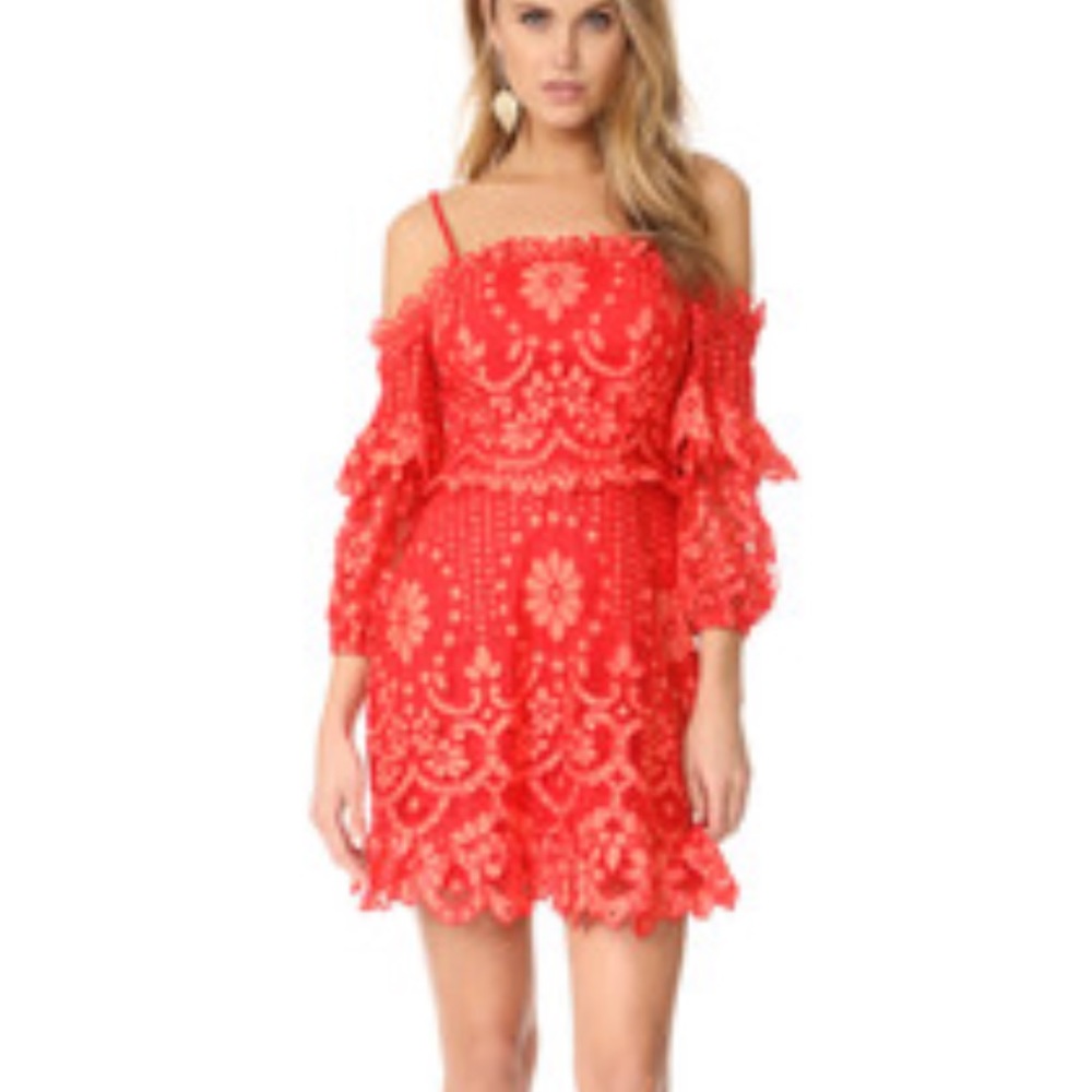 Parker Irma Lace Dress - Gem